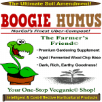 Boogie Humus | Boogie Brew