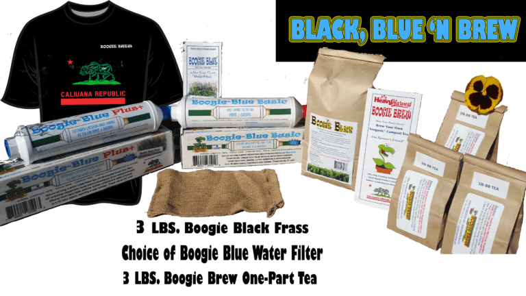Welcome back, GYG’ers! | Boogie Brew